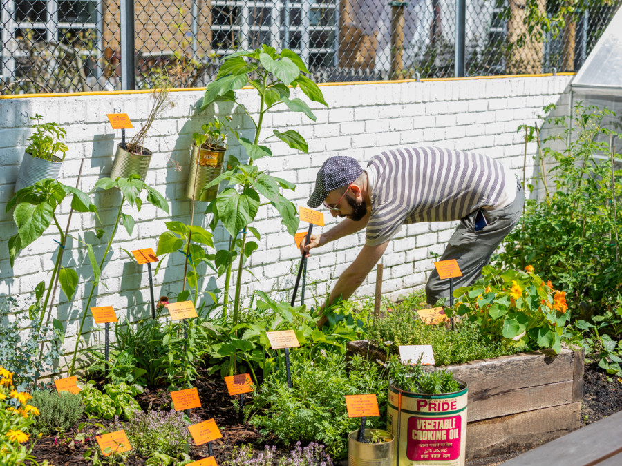Uriel Orlow: Mafavuke’s Trial and Other Plant Stories | The Showroom
