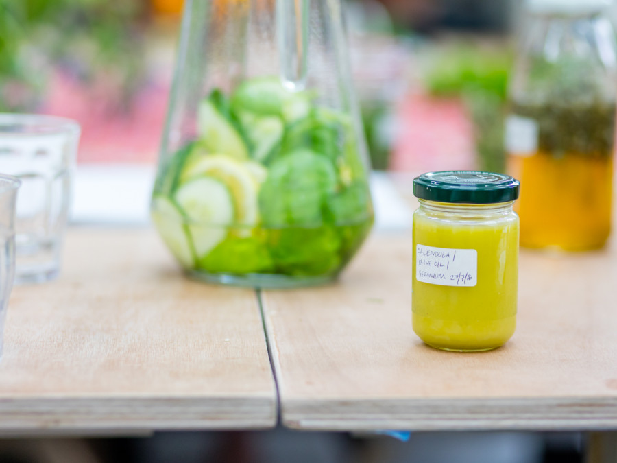 Uriel Orlow: Mafavuke’s Trial and Other Plant Stories | The Showroom