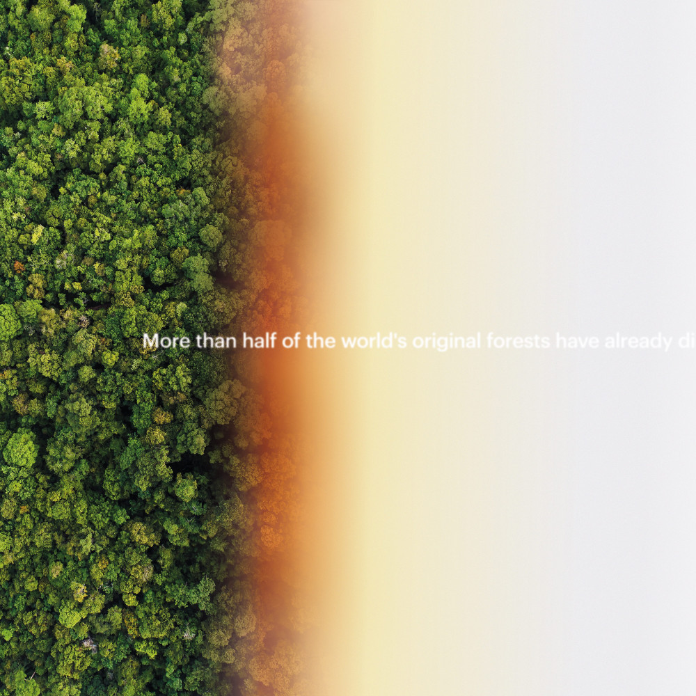 Oliver Ressler: Barricading the Ice Sheets | The Showroom