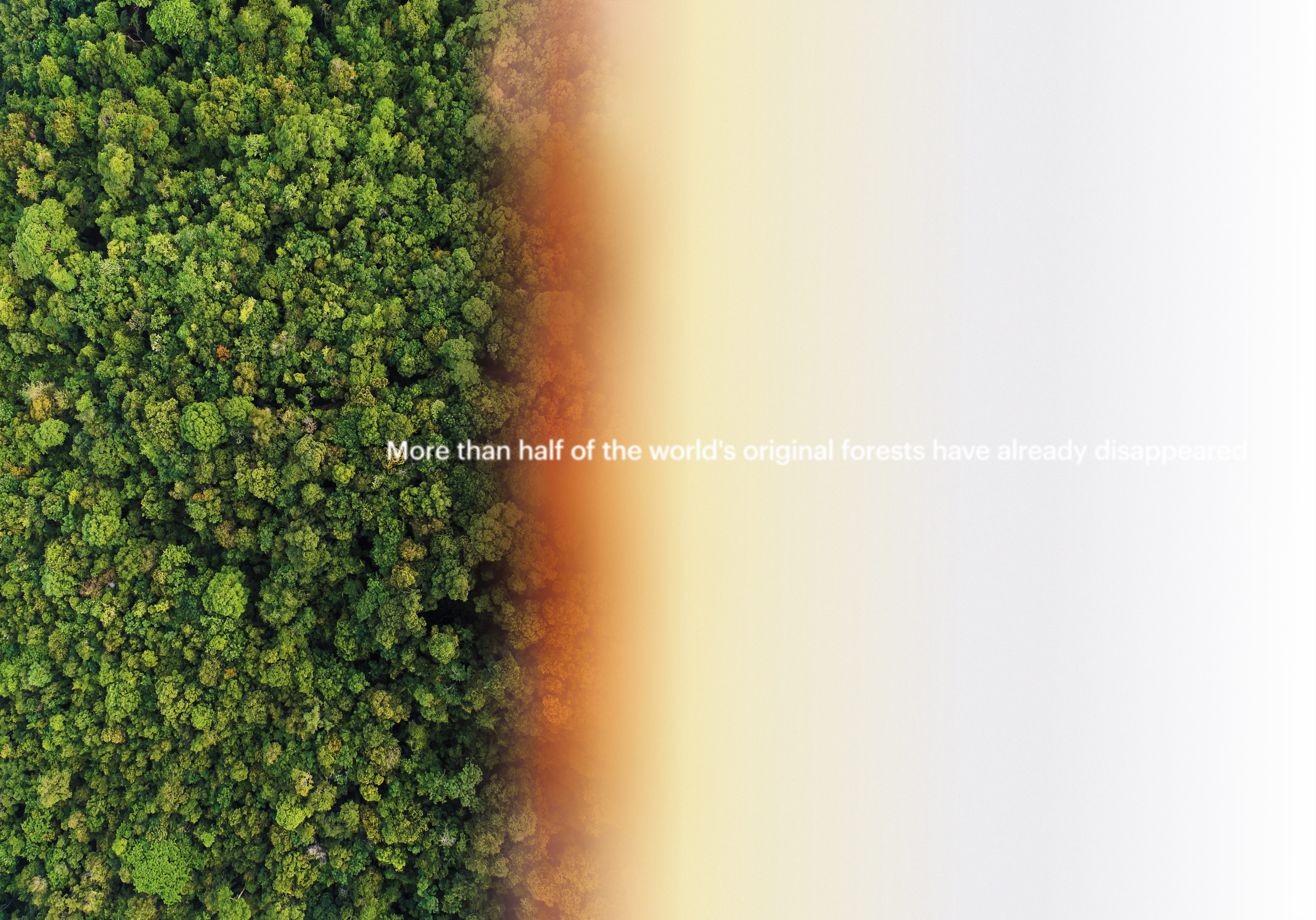 Oliver Ressler: Barricading the Ice Sheets | The Showroom