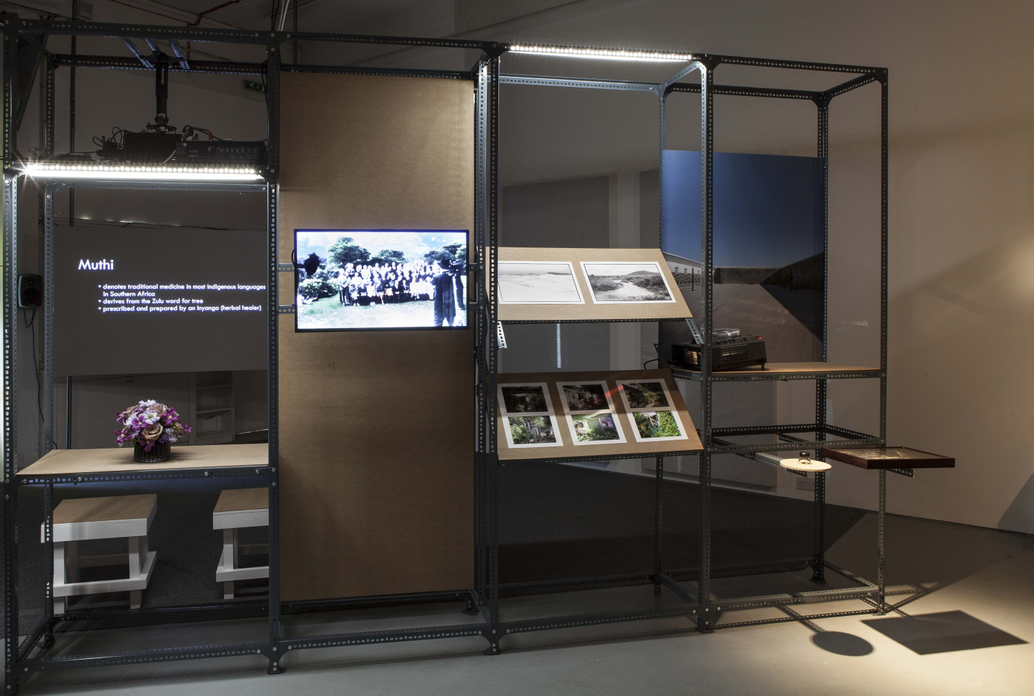 Uriel Orlow: Mafavuke’s Trial and Other Plant Stories | The Showroom