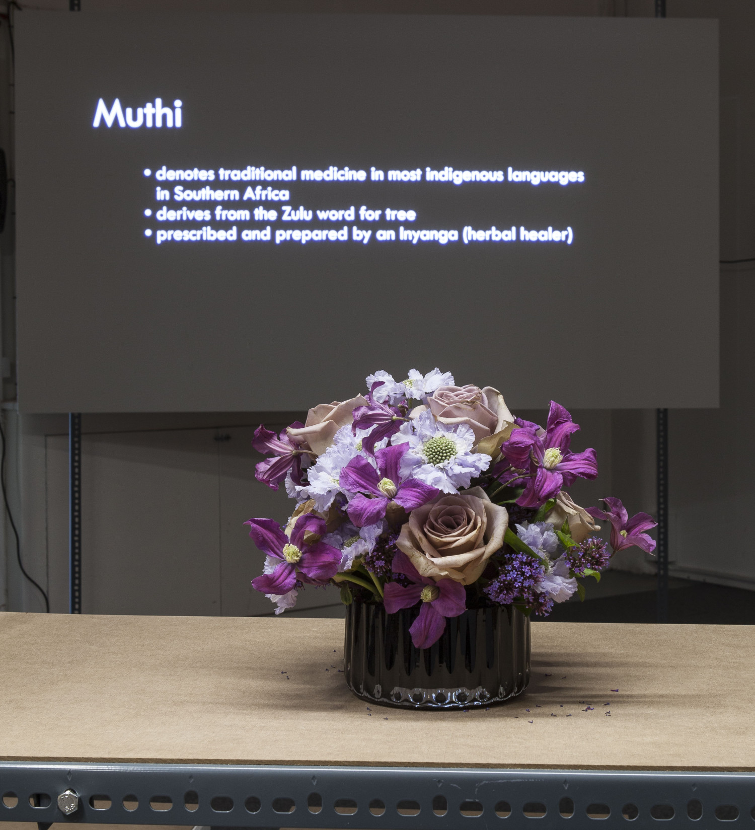 Uriel Orlow: Mafavuke’s Trial and Other Plant Stories | The Showroom