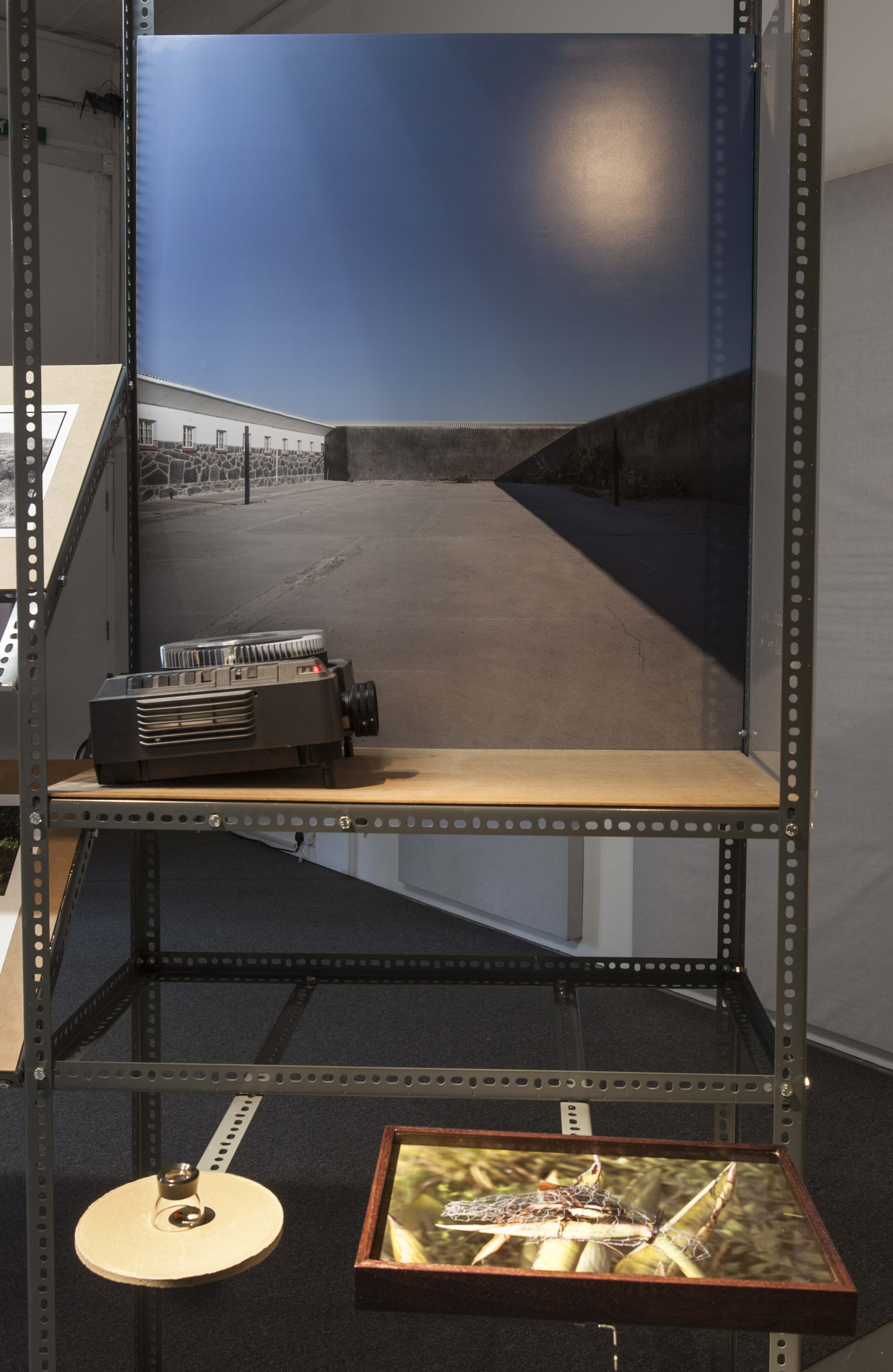 Uriel Orlow: Mafavuke’s Trial and Other Plant Stories | The Showroom