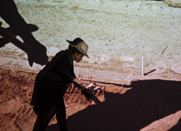 Uriel Orlow: Mafavuke’s Trial and Other Plant Stories | The Showroom