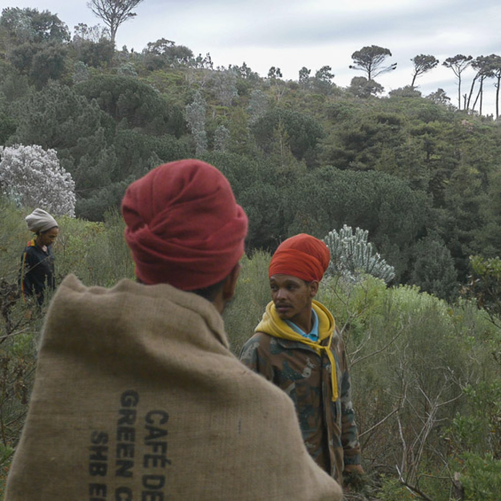 Symposium: Theatrum Botanicum and Other Forms of Knowledge | The Showroom