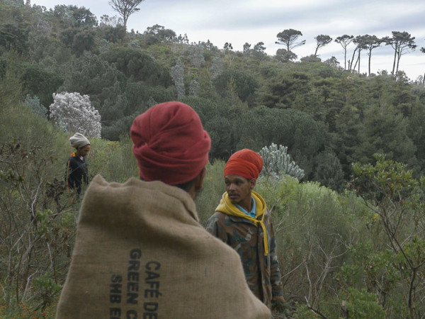 Uriel Orlow: Mafavuke’s Trial and Other Plant Stories | The Showroom